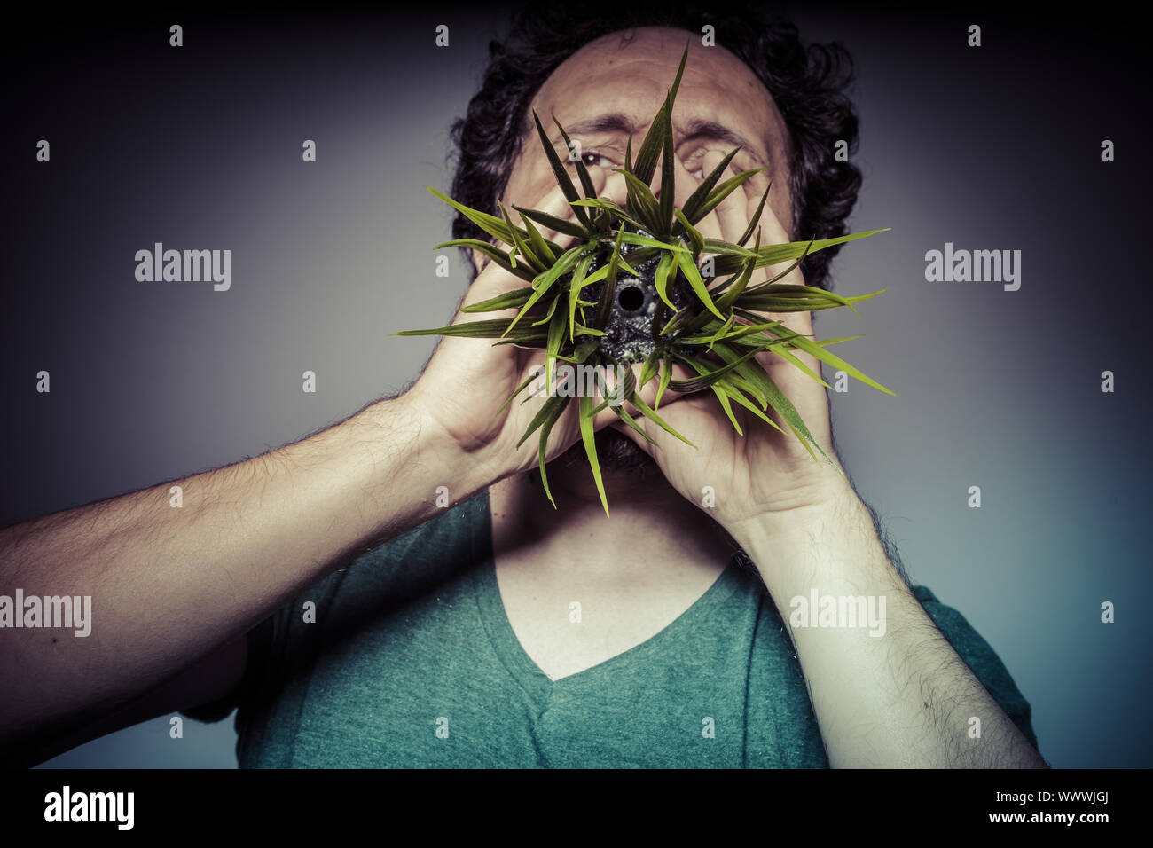 Grass Drug High Resolution Stock Photography and Images - Alamy