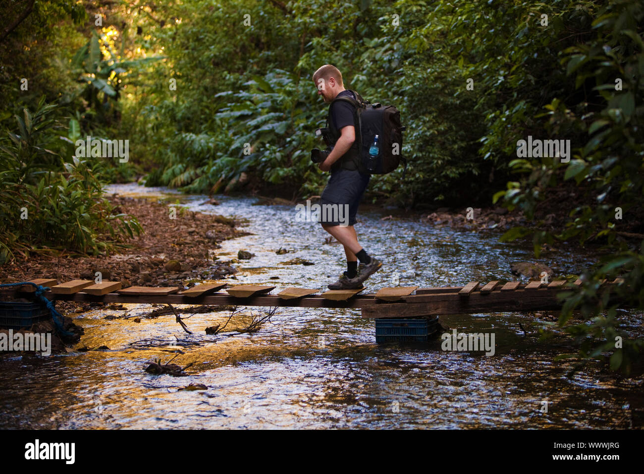 Cloud forest with little stream hi-res stock photography and images - Alamy