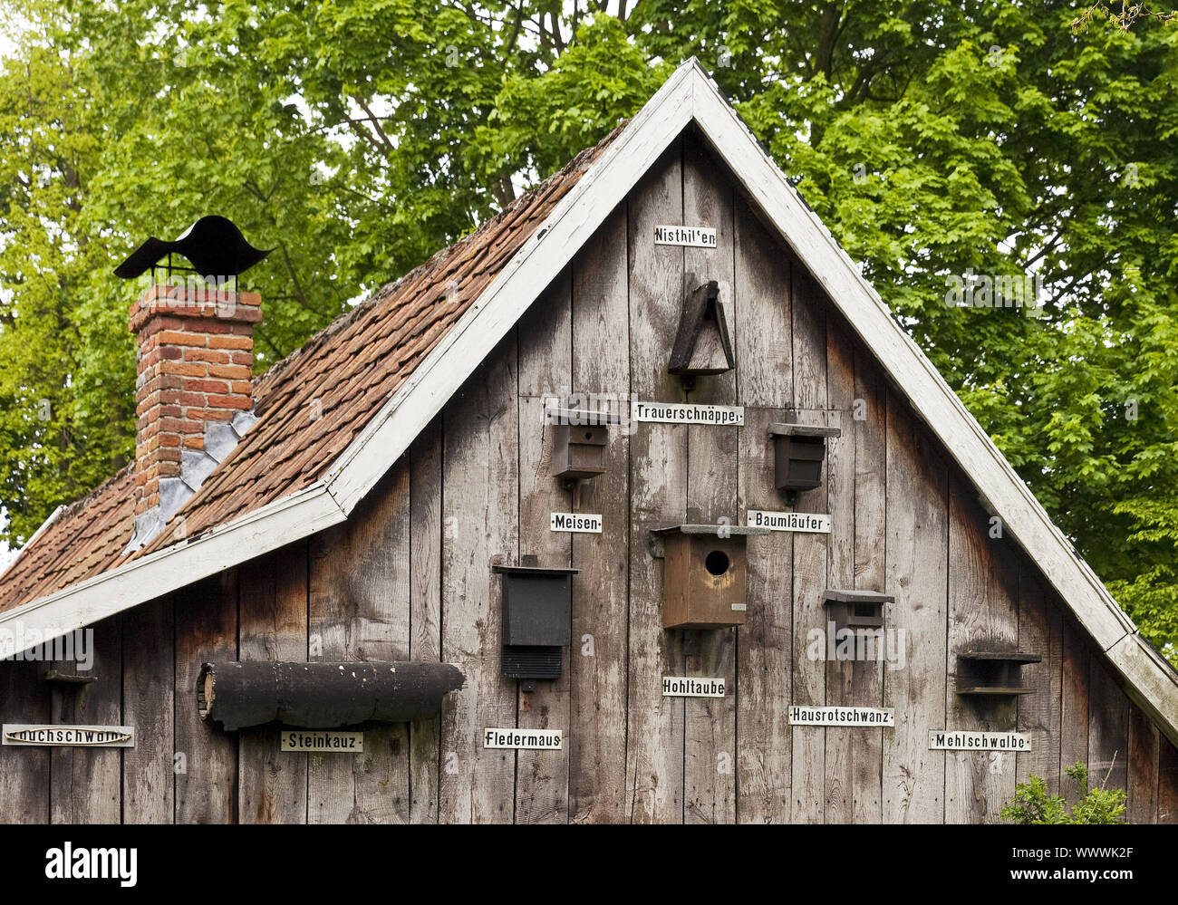 workshop building with different kinds of nesting boxes ...