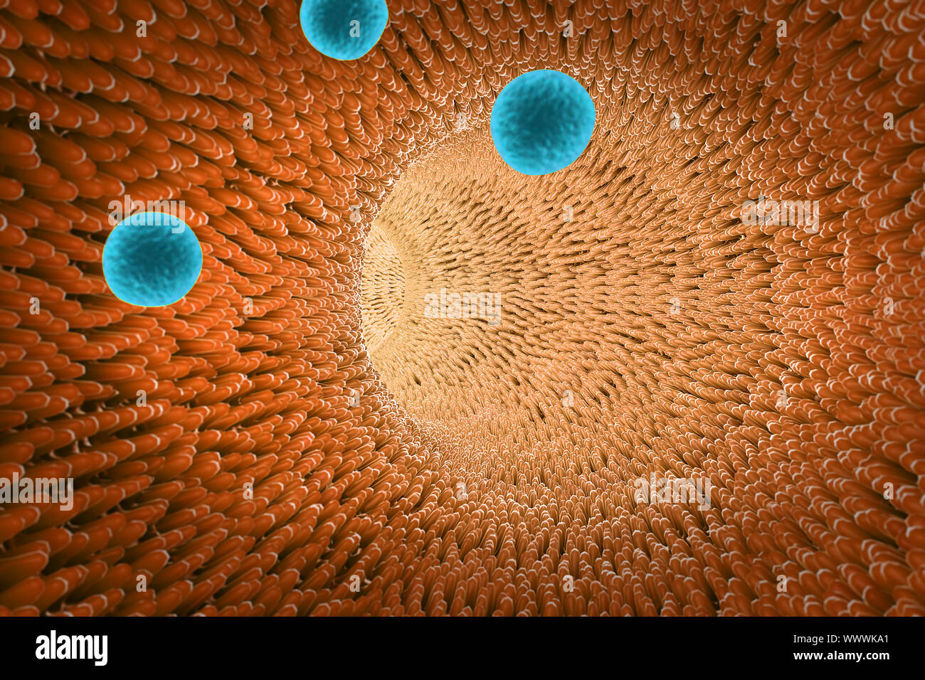 fat cell inside the blood vessel, High quality 3d render of blood cells ...