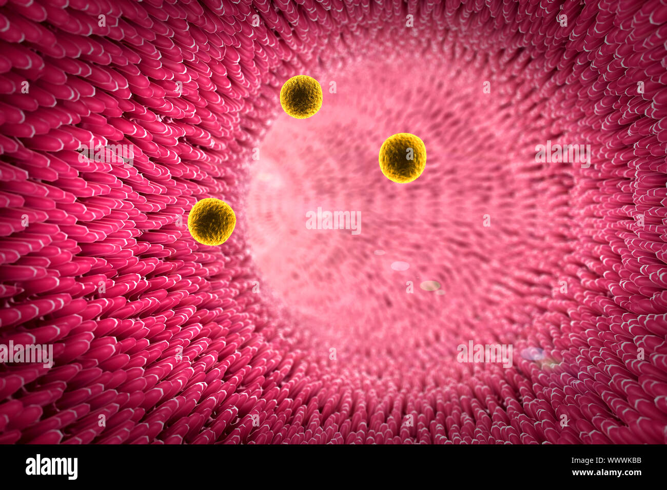 fat cell inside the blood vessel, High quality 3d render of blood cells ...