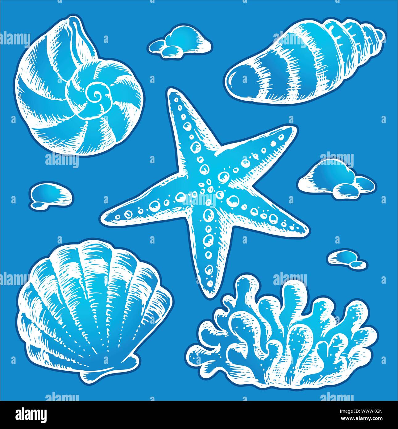 Sea shells drawings 2 Stock Vector Image & Art - Alamy