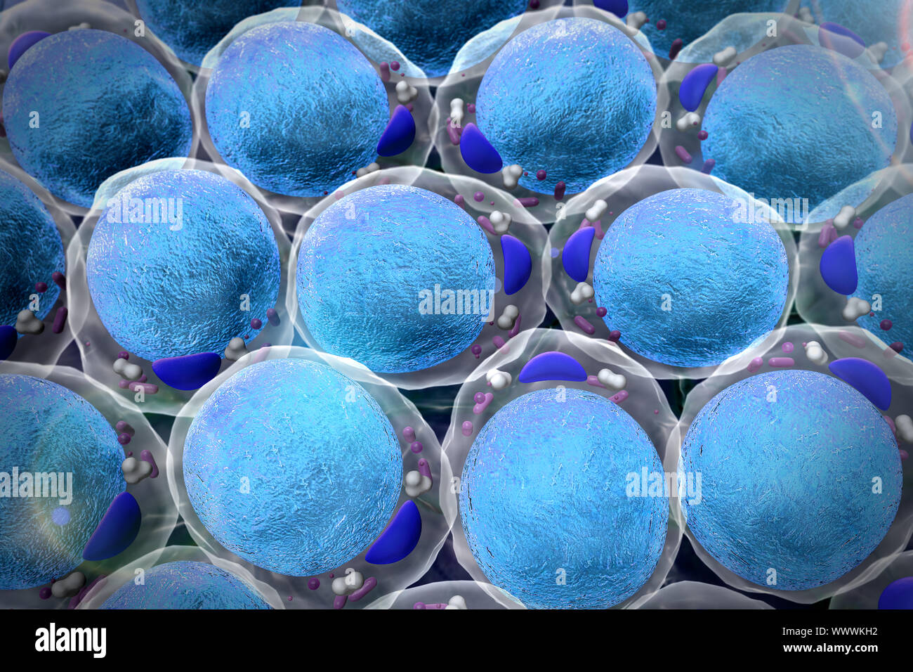 field of fat cells, High quality 3d render of fat cells, cholesterol in ...