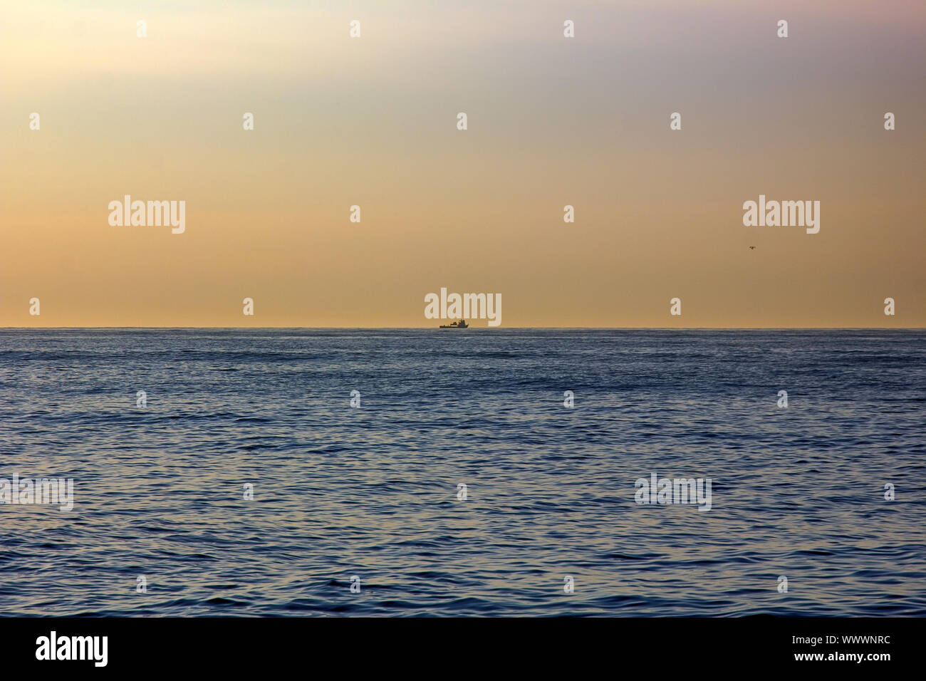 commercial catch fishing far out at sea Stock Photo - Alamy