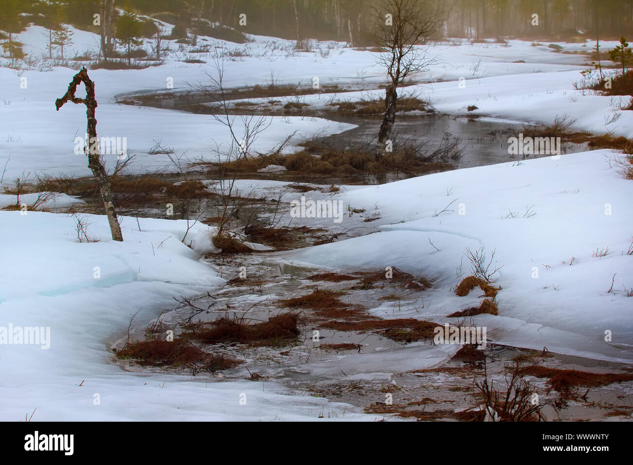 Silver Thaw High Resolution Stock Photography and Images - Alamy
