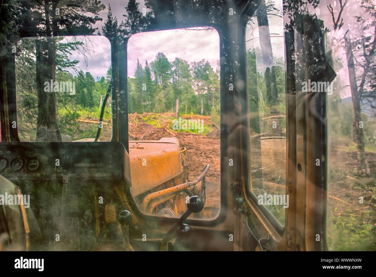 Forest cover destruction (deforestation Stock Photo - Alamy