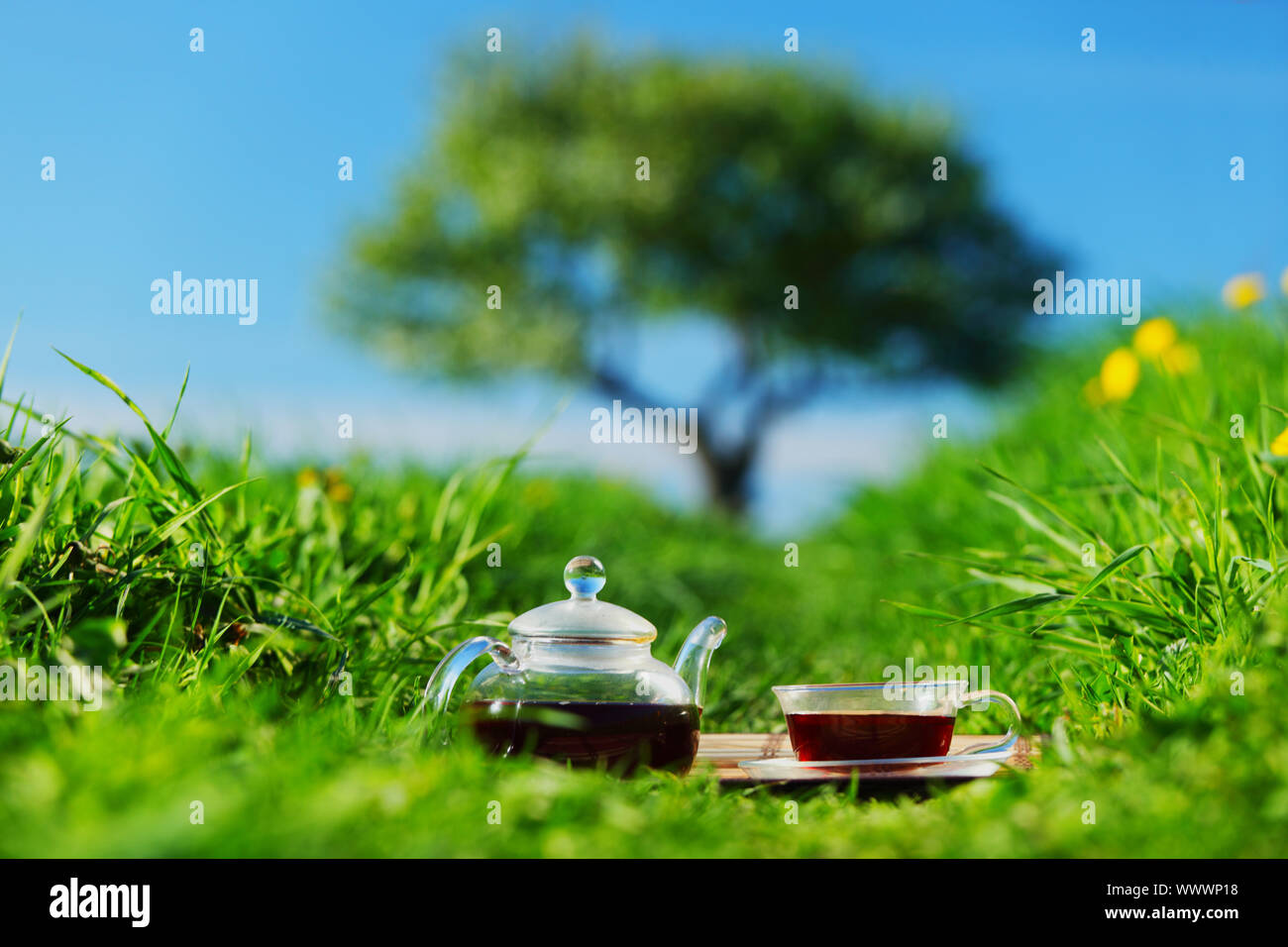 Natural tea on green grass Stock Photo - Alamy