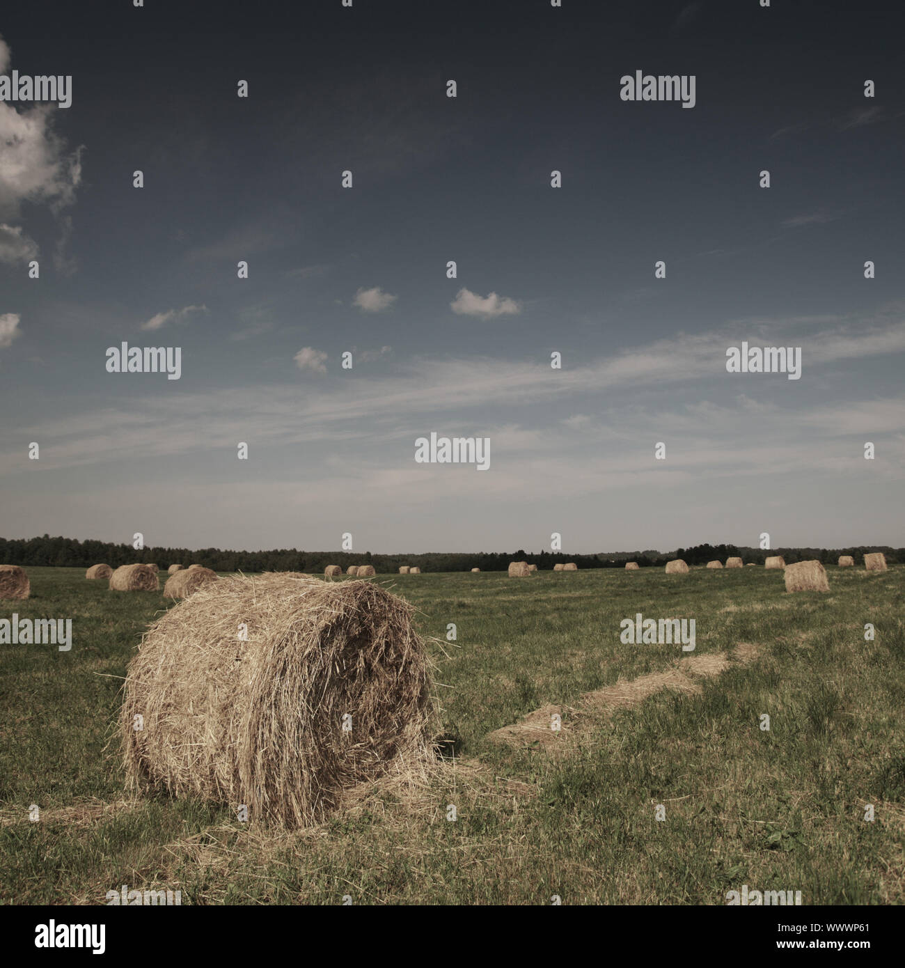 Rolling haystack hi-res stock photography and images - Alamy