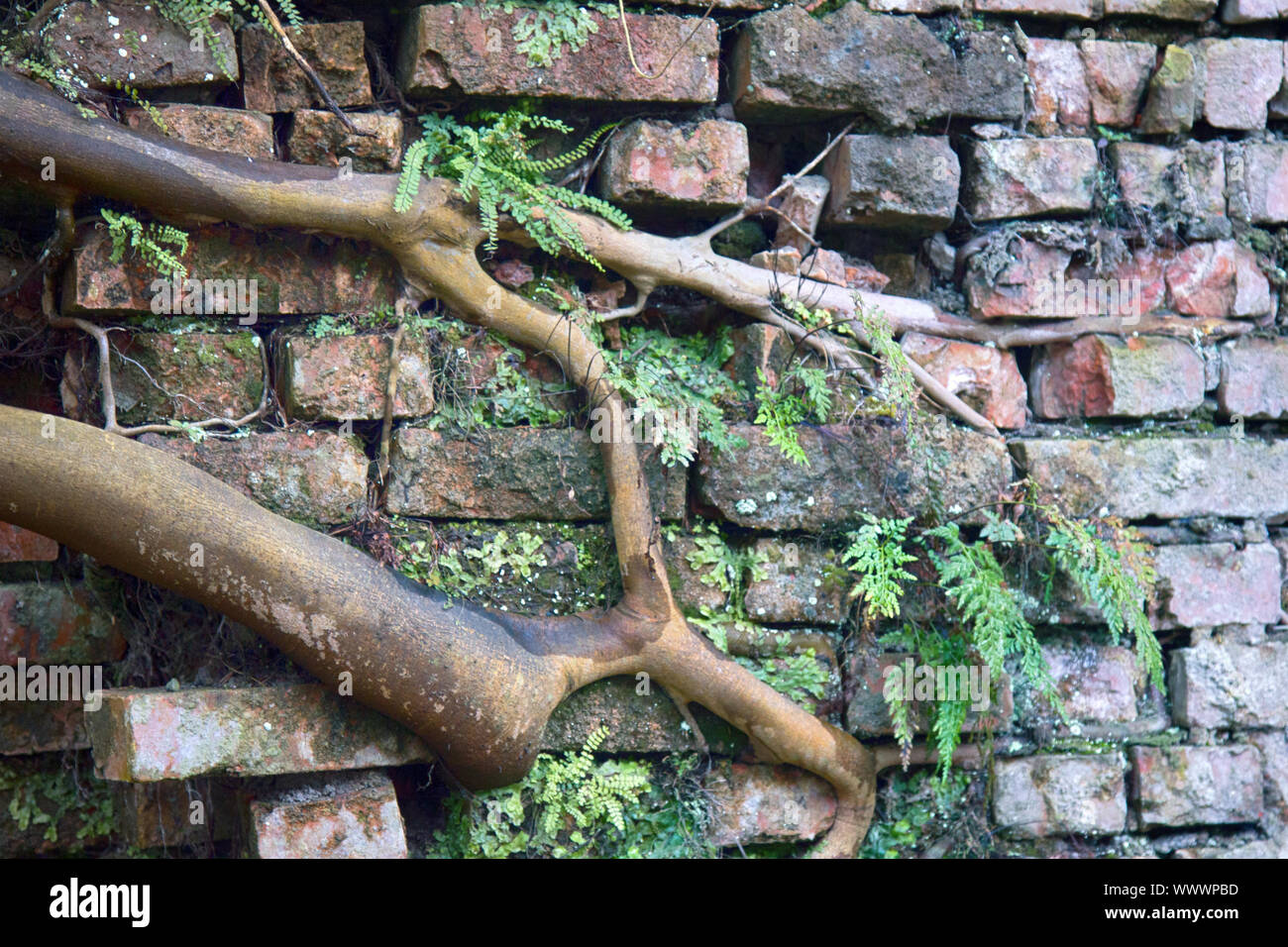 Masonic brick hi-res stock photography and images - Alamy