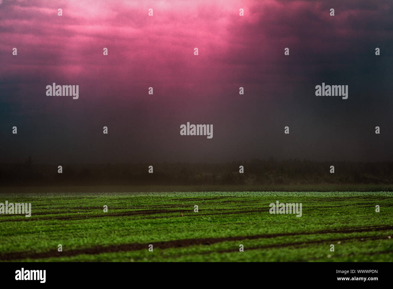 Everything is drowning in dense stream of dust Stock Photo - Alamy