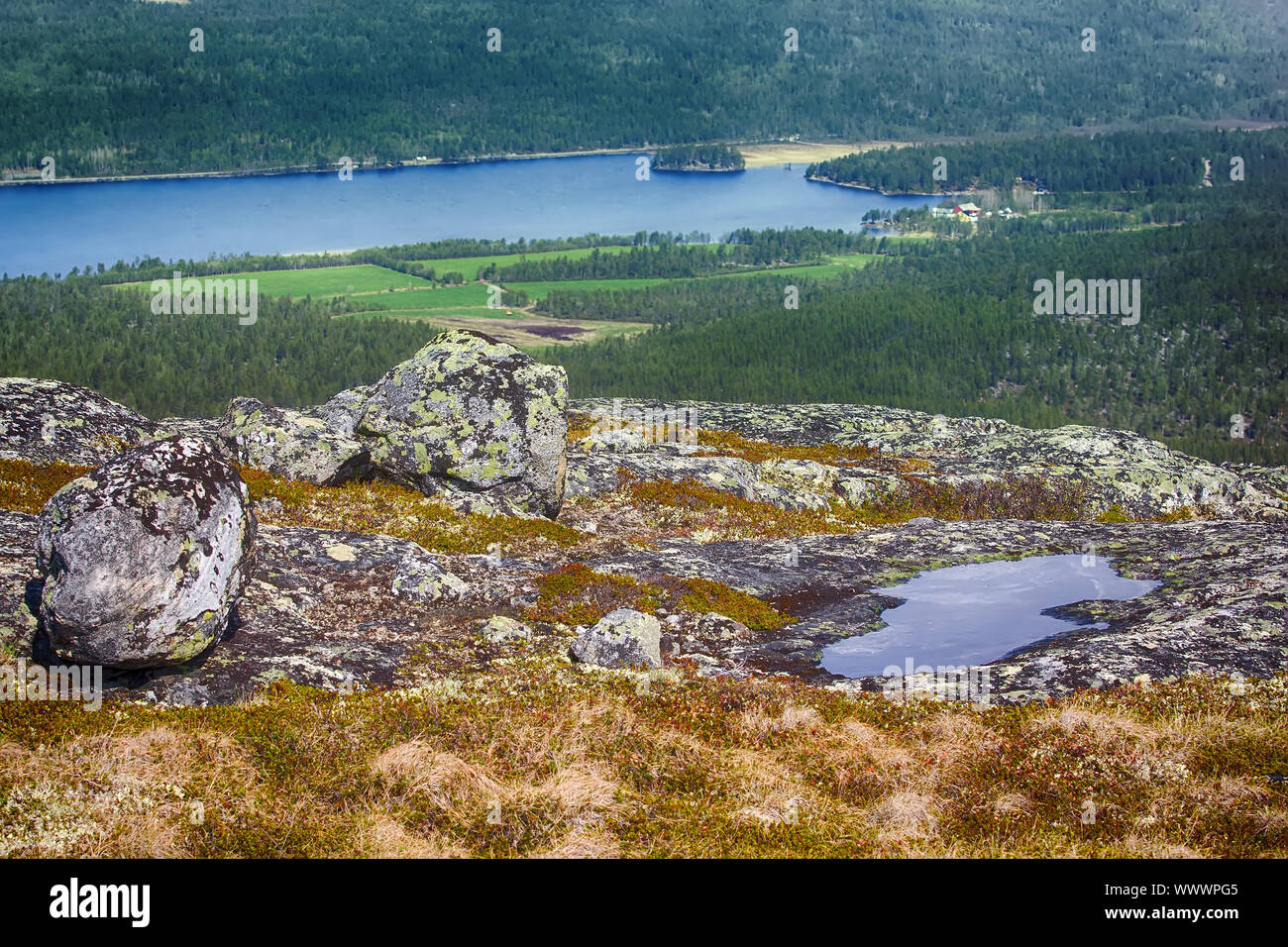 Misty spring morning forest and lake in may Stock Photo - Alamy