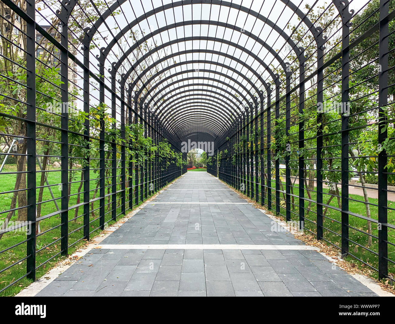 Walkway through tunnel filled with shrub and trees in a small street ...
