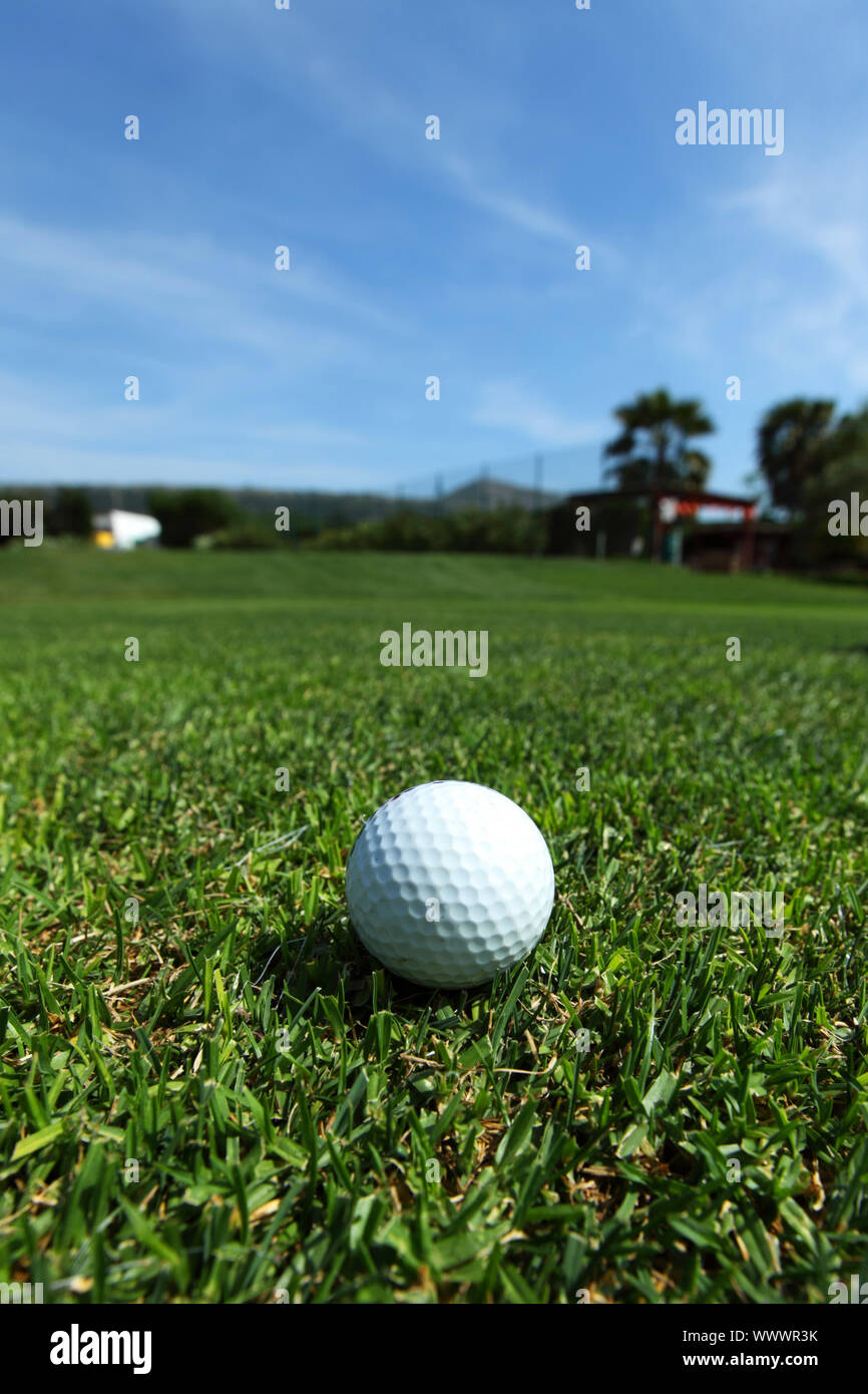 golf-ball on course Stock Photo - Alamy