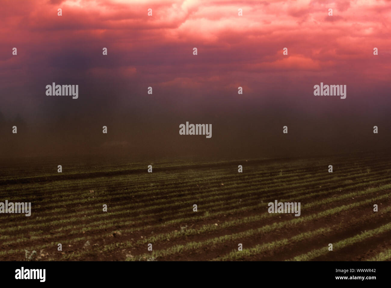 Everything is drowning in dense stream of dust Stock Photo - Alamy