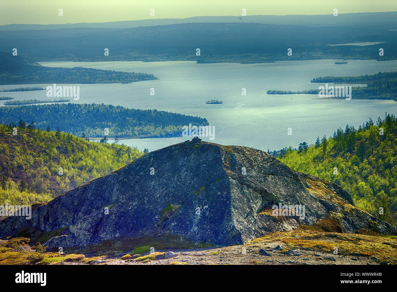 Misty spring morning forest and lake in may Stock Photo - Alamy