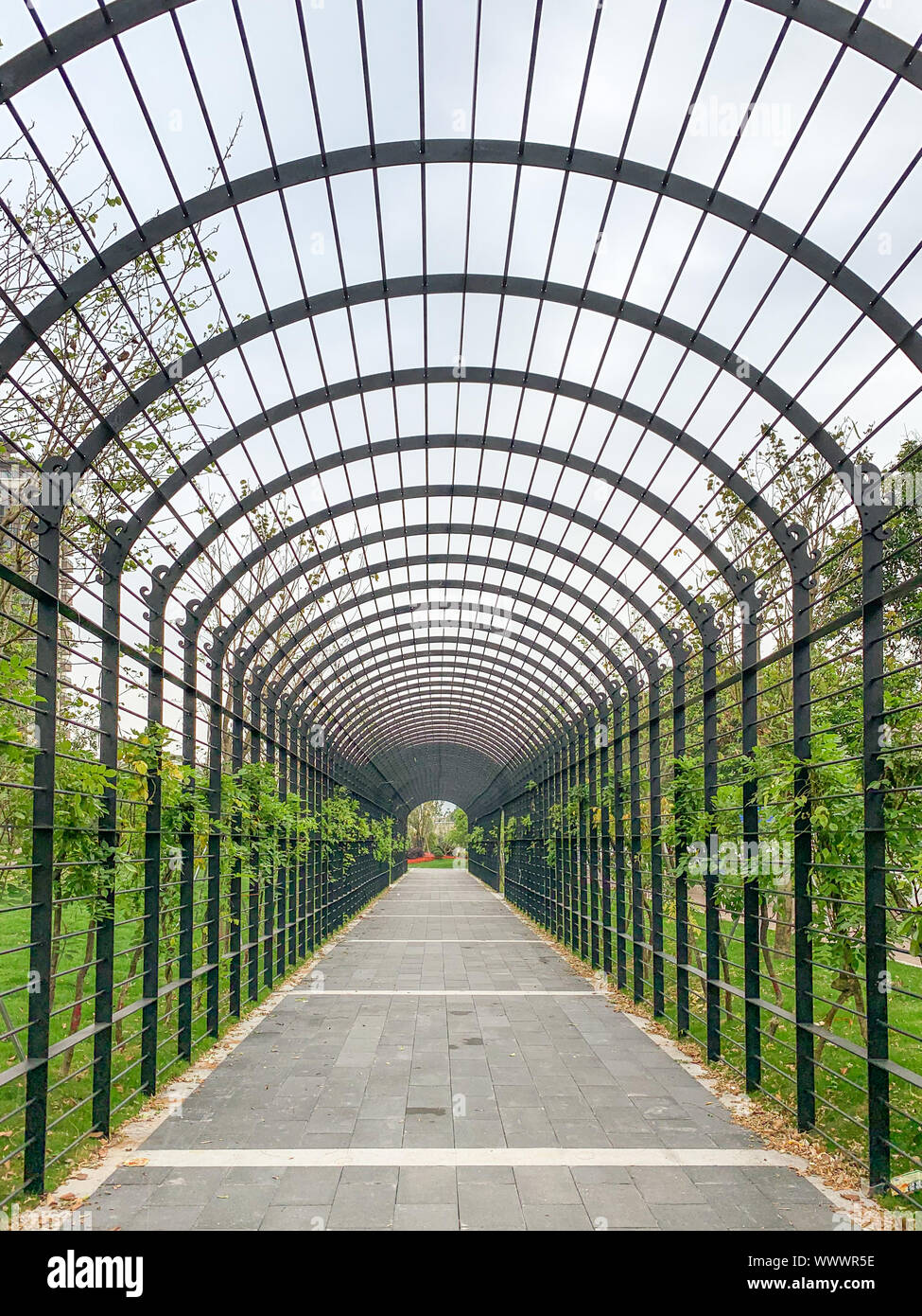 Walkway through tunnel filled with shrub and trees in a small street ...