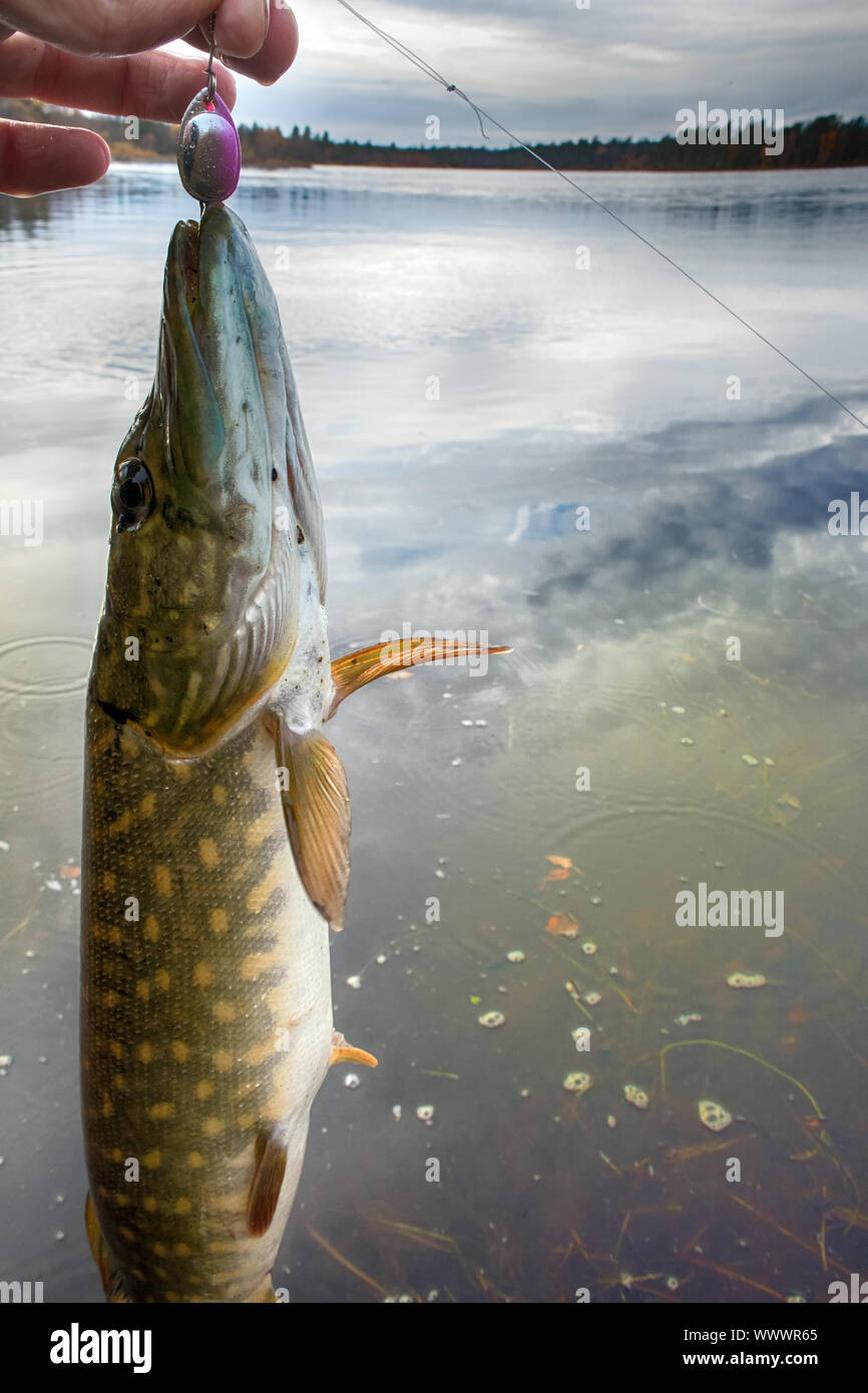 Hand takes fishing rod hi-res stock photography and images - Alamy