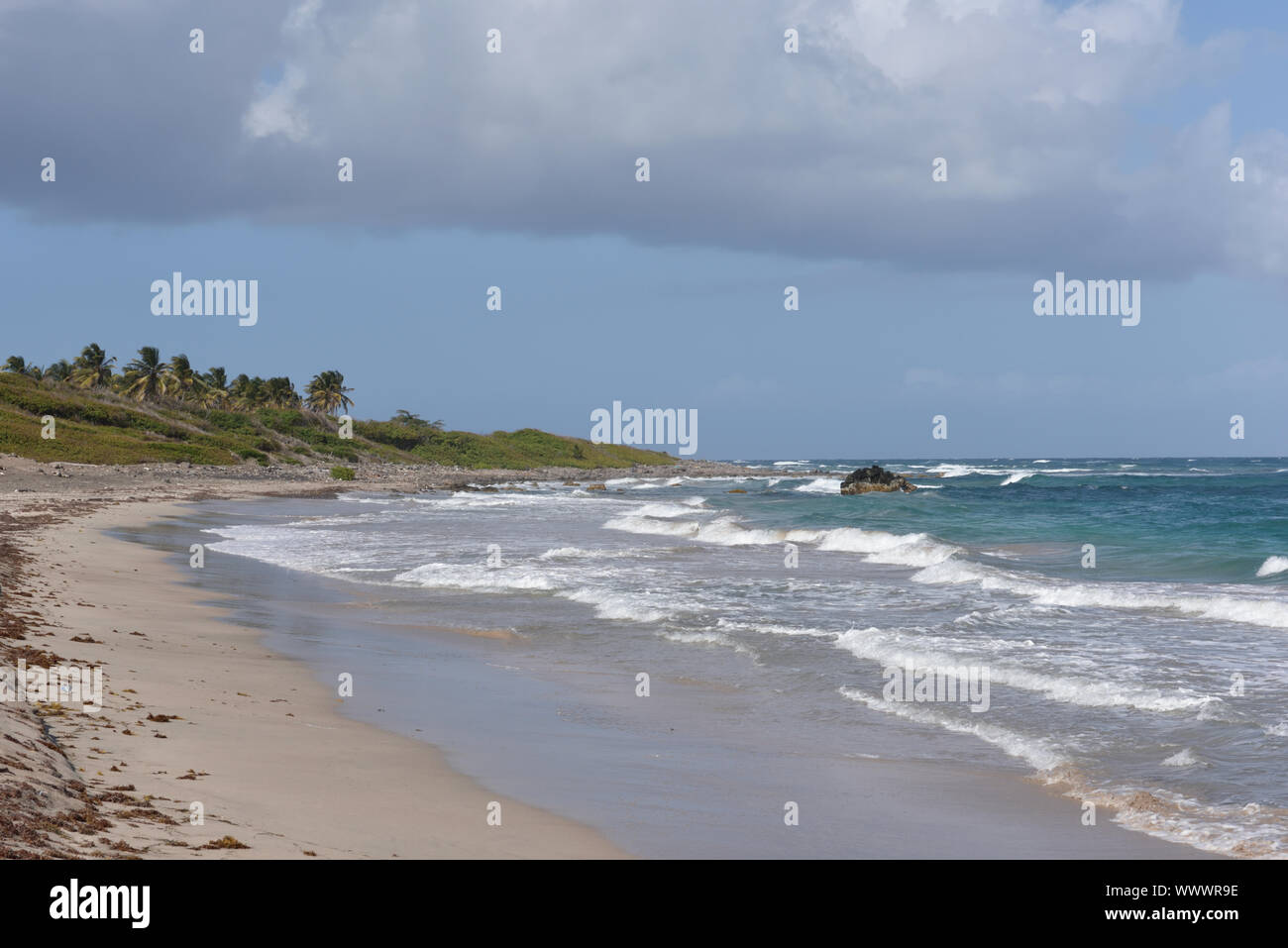 Windward Beach, Nevis, St. Kitts and Nevis, Caribbean island Stock ...