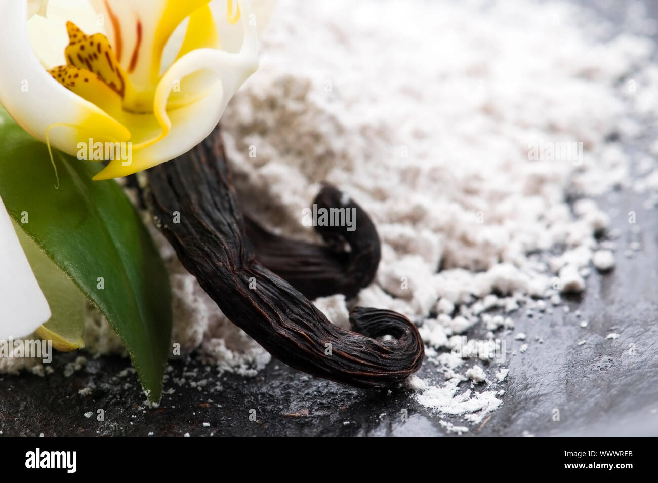 vanilla beans with aromatic sugar and flower Stock Photo - Alamy