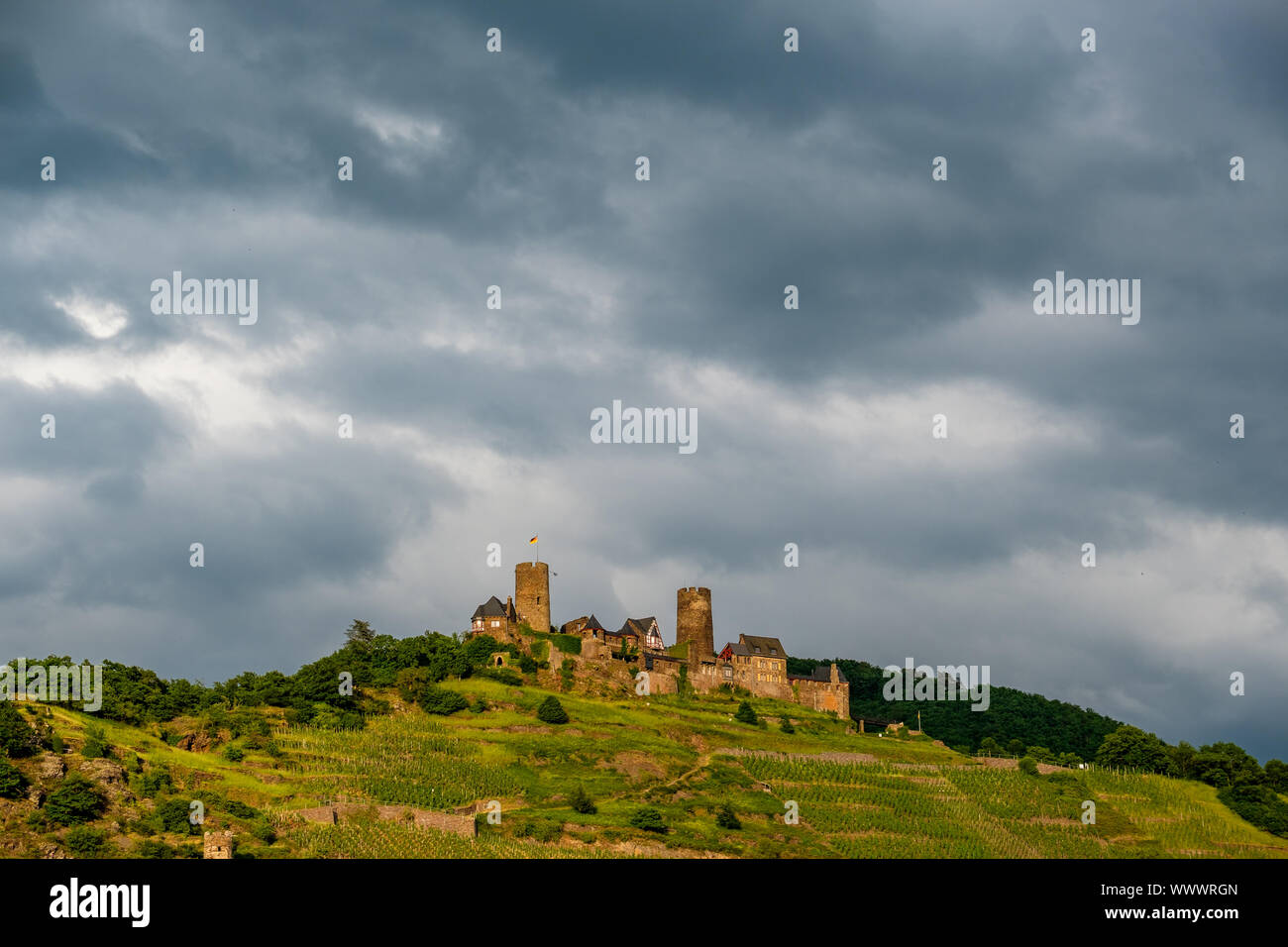 Thurant Castle and vineyards above Moselle river near Alken, Germany ...