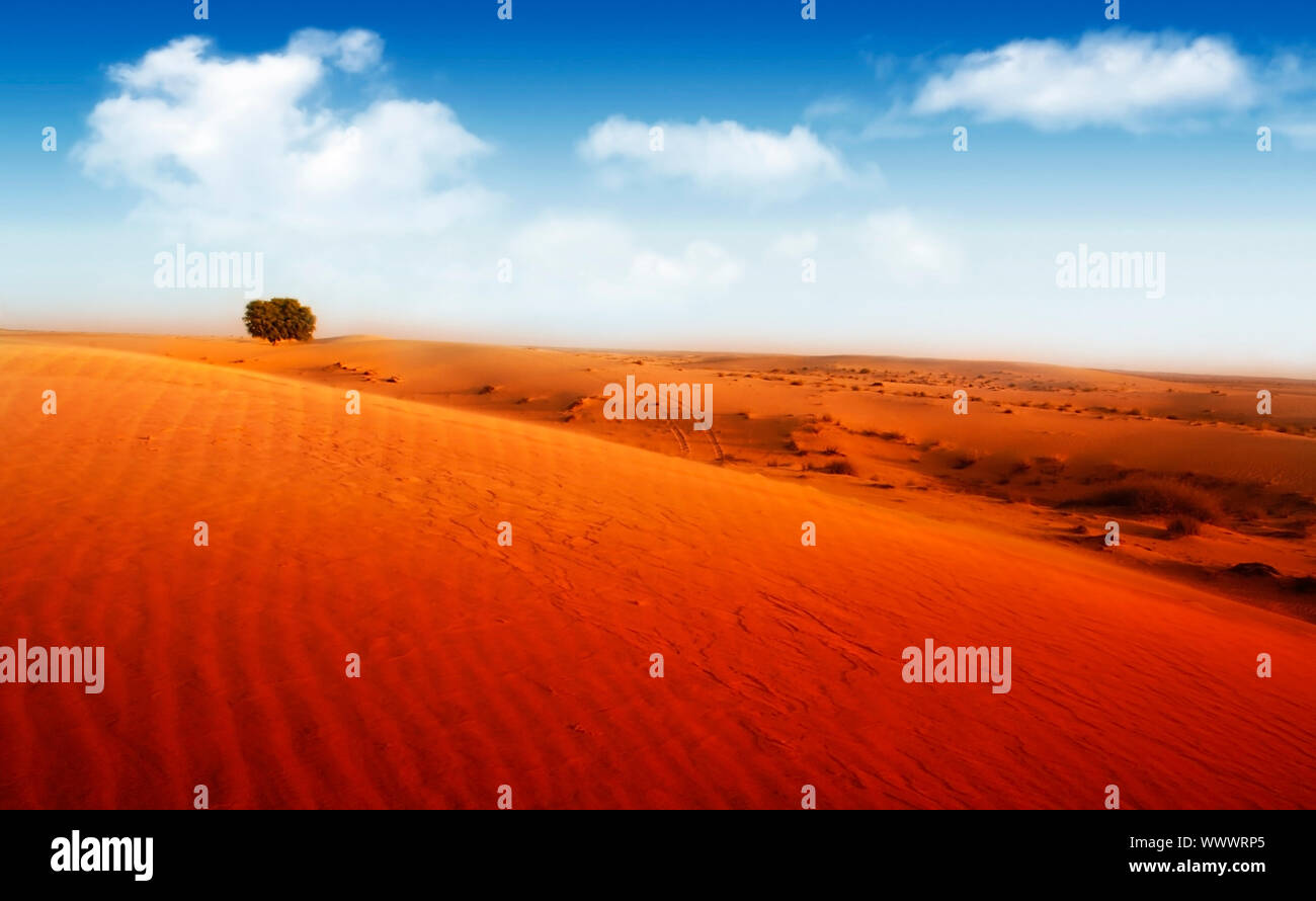 Extreme desert landscape with single tree Stock Photo - Alamy