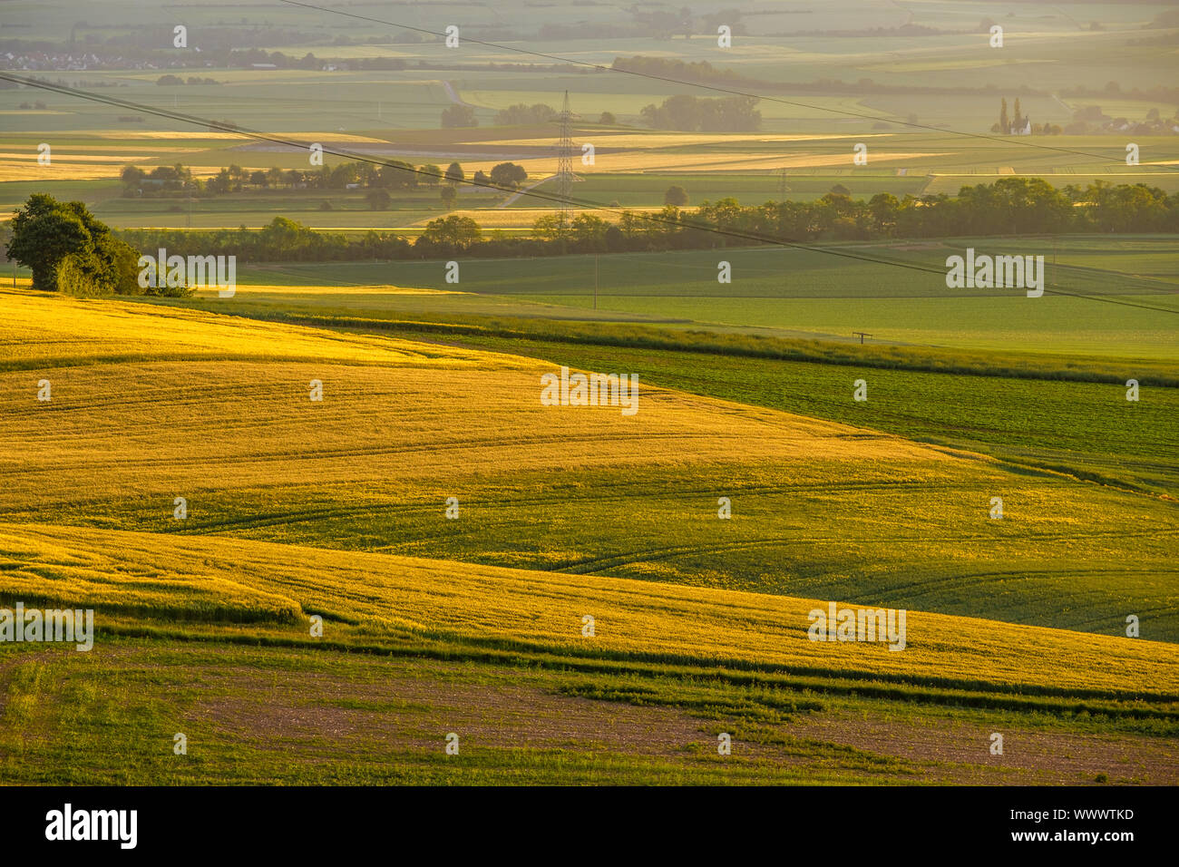 Rolling green grass fields crop hi-res stock photography and images - Alamy
