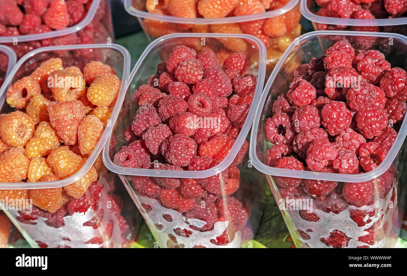 Collecting container hi-res stock photography and images - Alamy
