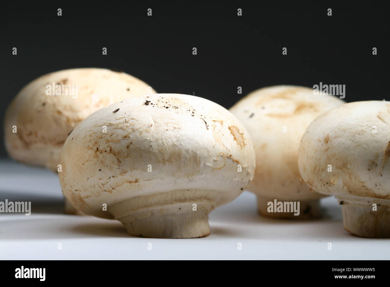 champignon close up food bacground Stock Photo - Alamy