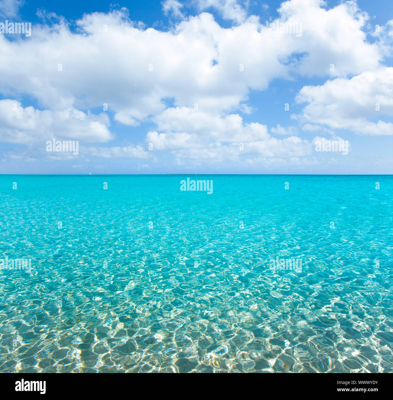 beach tropical with white sand and turquoise water under blue sky Stock ...