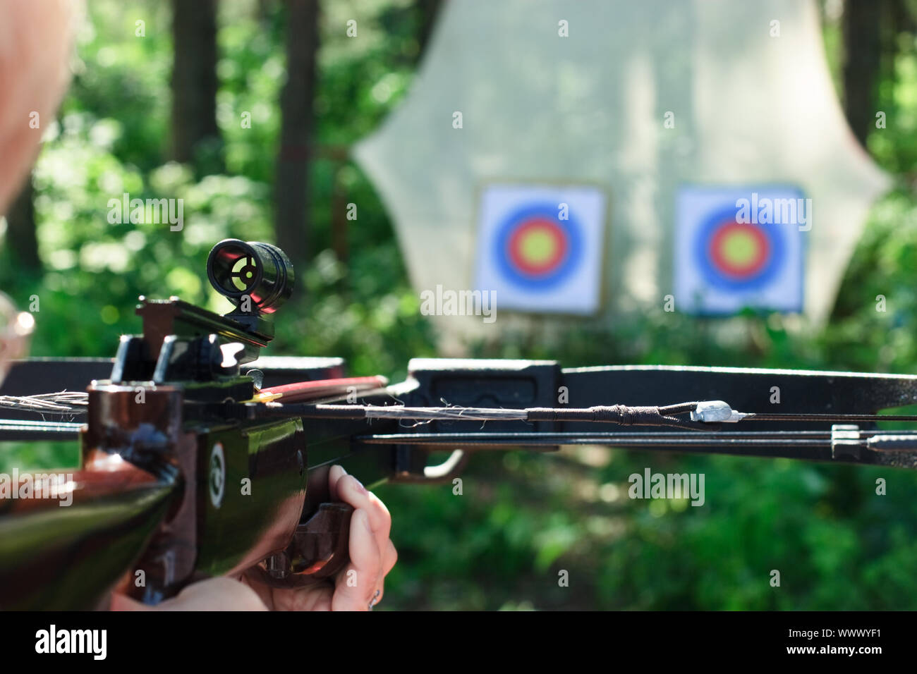 Man aiming crossbow at targets in summer forest Stock Photo - Alamy