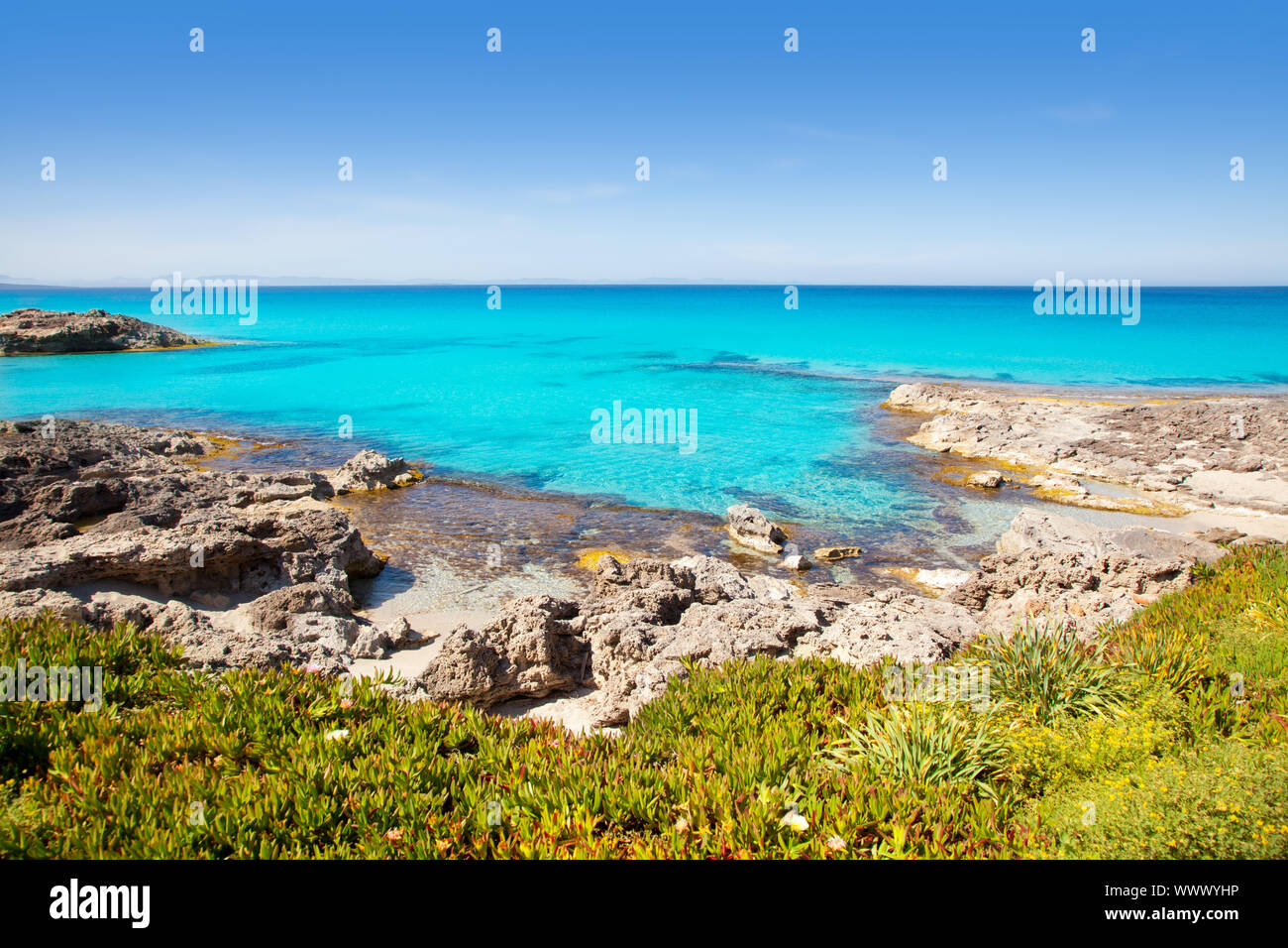 Formentera sea grass hi-res stock photography and images - Alamy