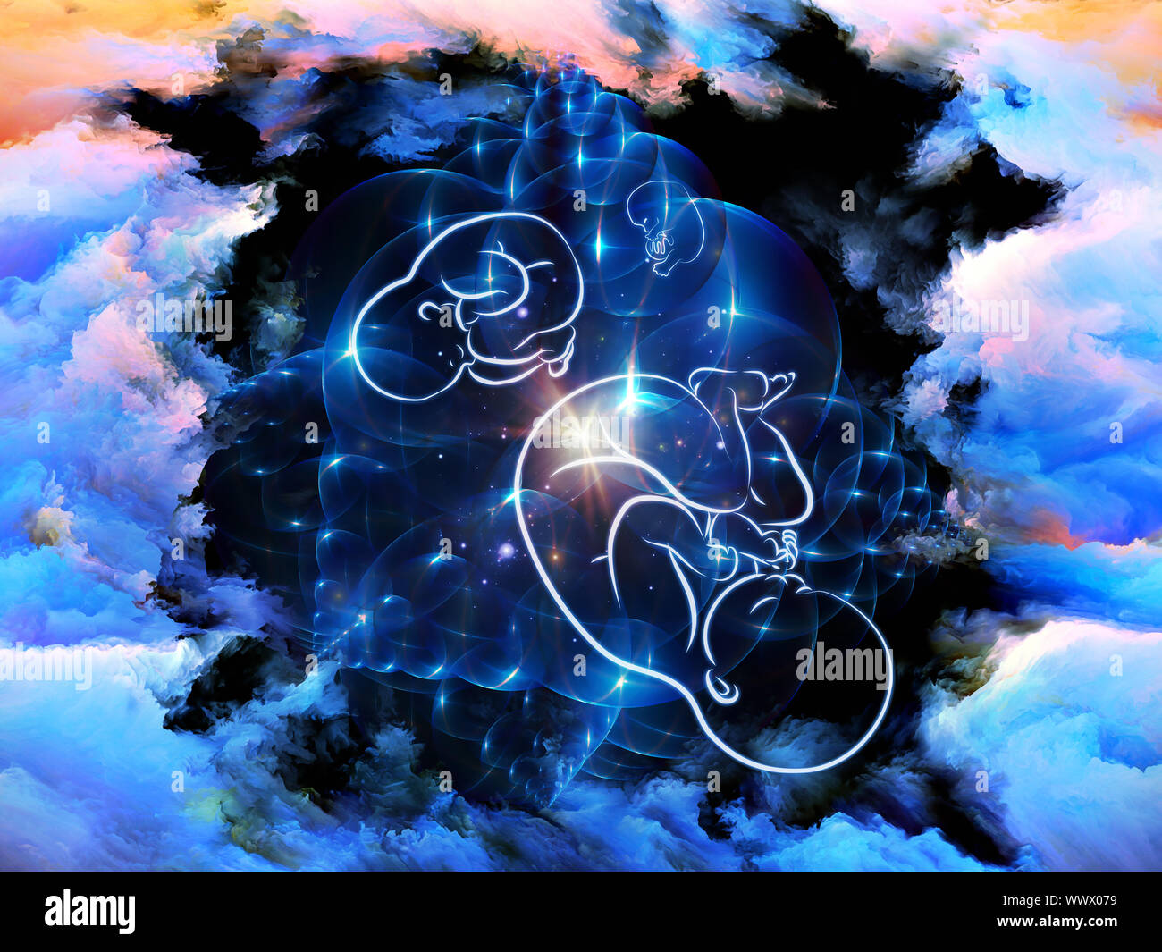 Placenta frame hi-res stock photography and images - Alamy