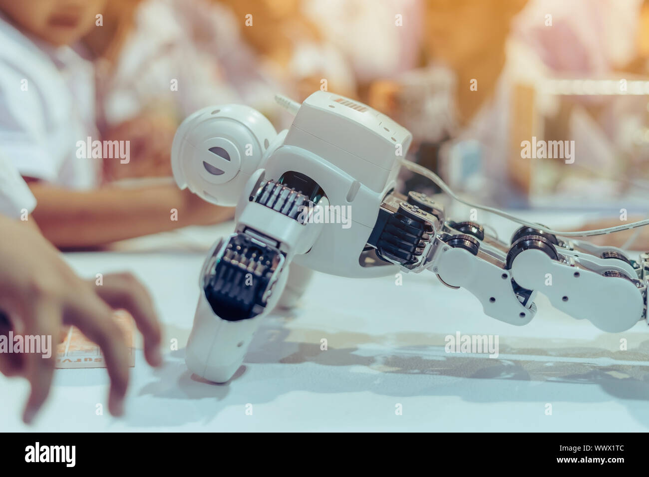 Students are testing robot control in an elementary school laboratory ...