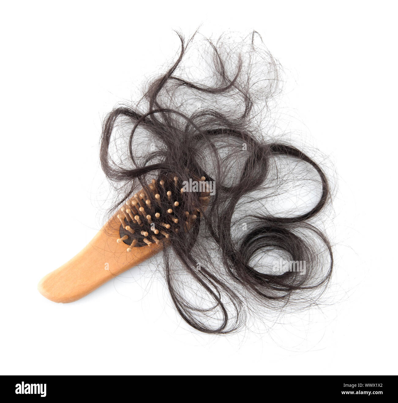 Concept photo hair fall, hair on a wooden comb isolated on white ...