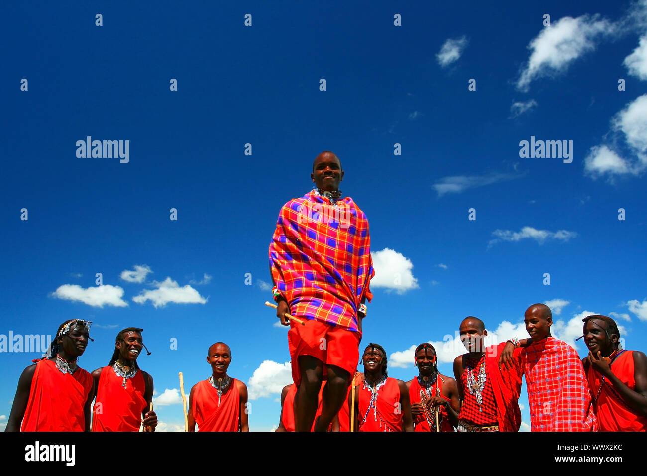 Masai warrior dancing traditional dance. Africa. Kenya. Masai Mara ...