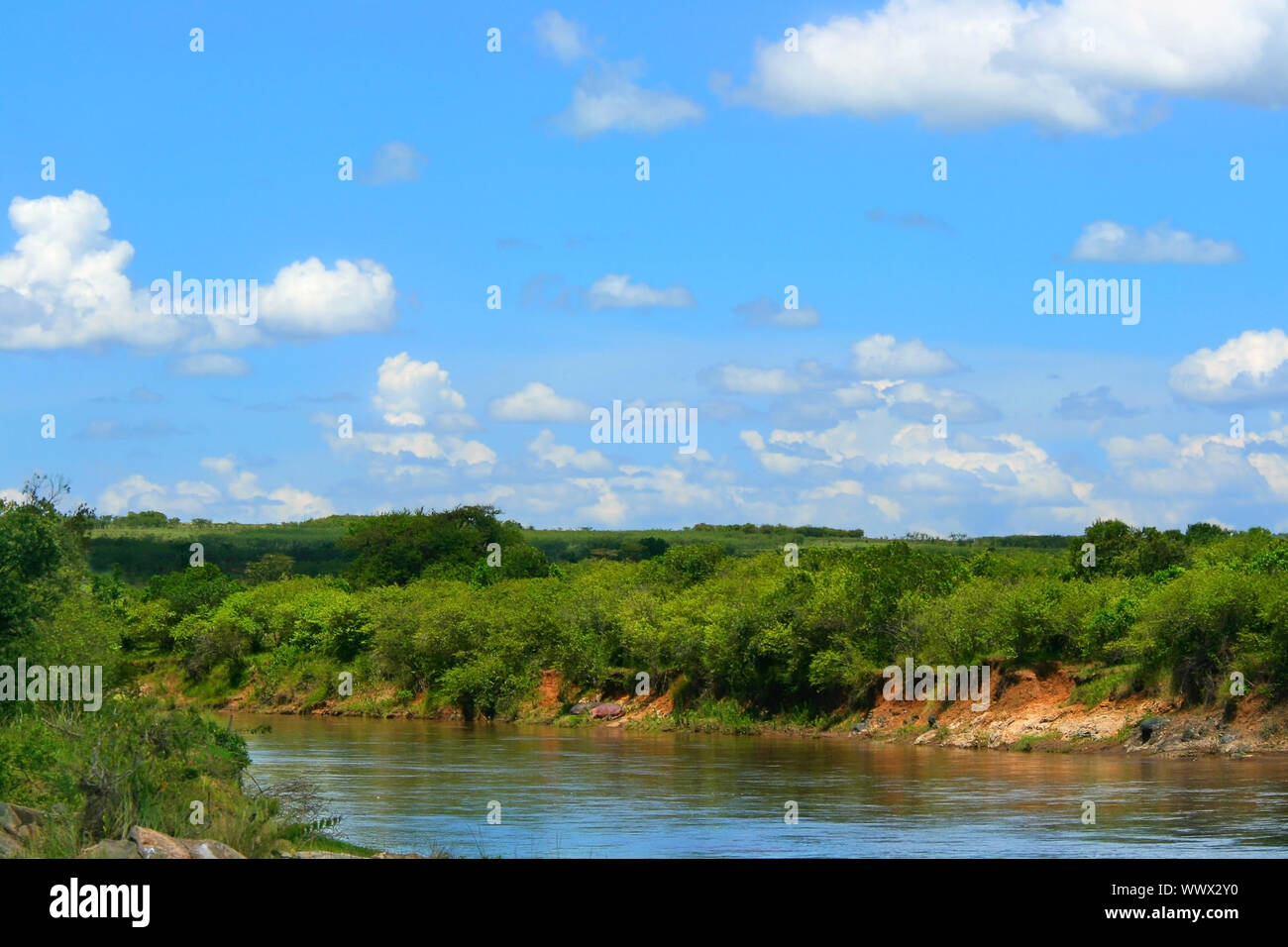 Africa river bank hi-res stock photography and images - Alamy