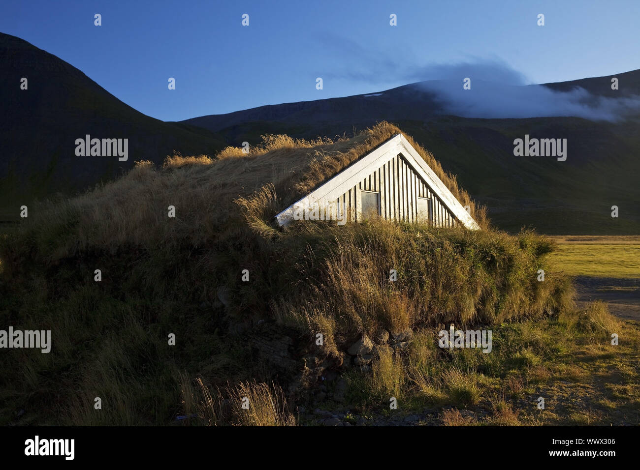 wooden hut with turf roof in the evening light, Reykjadiskur ...