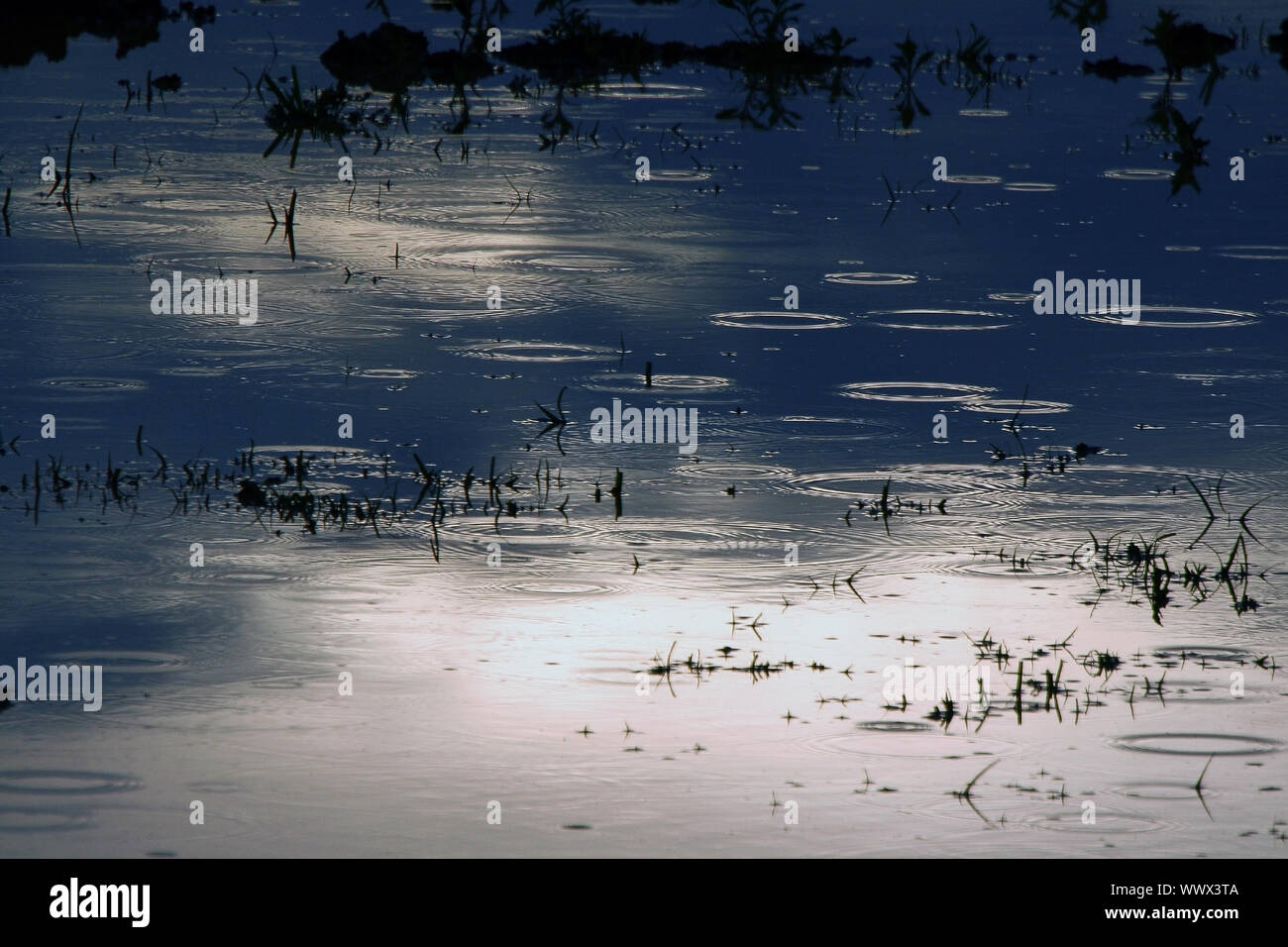 Raining into lake hi-res stock photography and images - Alamy
