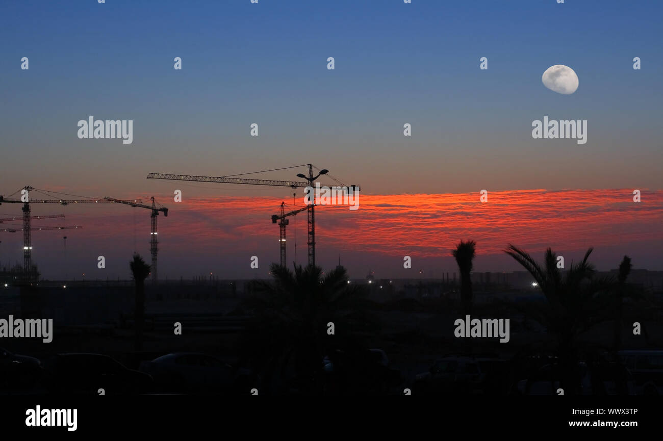 Cranes over sunset sky and moon Stock Photo - Alamy