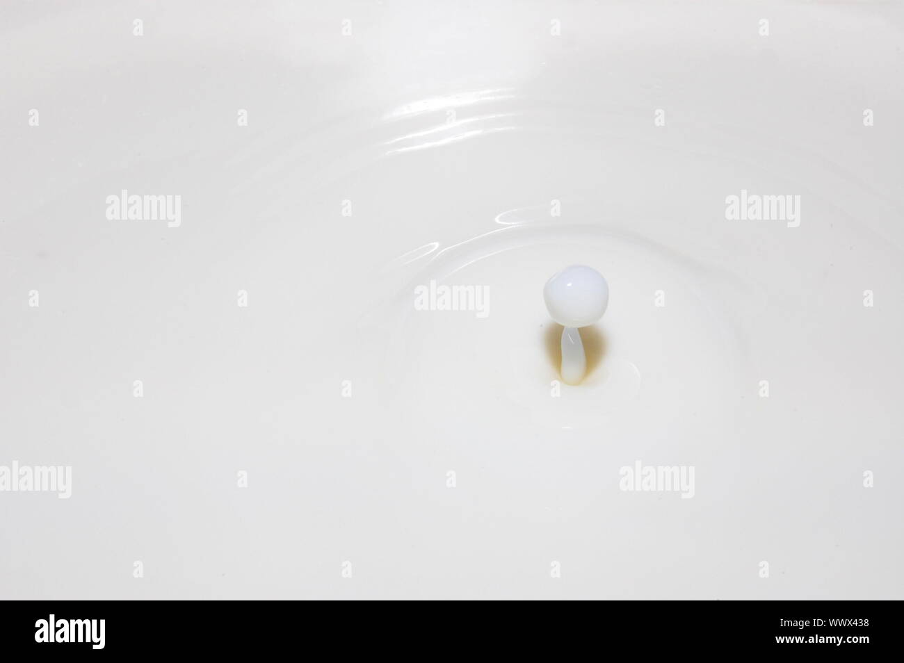 drop of milk splashes into fresh milk Stock Photo - Alamy