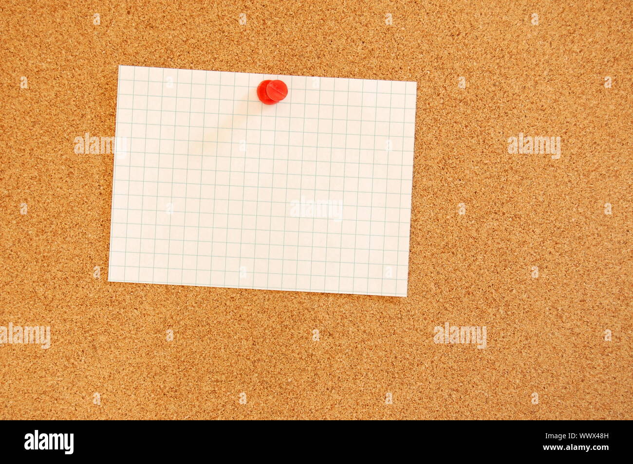blank and empty sheet paper with copyspace on bulletin board in office ...