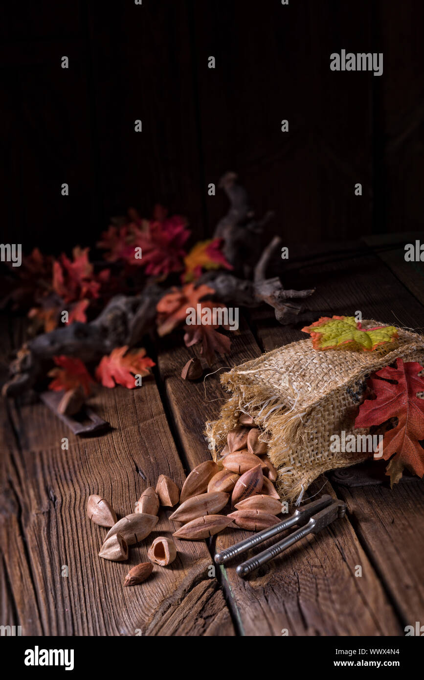 Canarium ovatum, commonly known as pili is a species of tropical tree ...