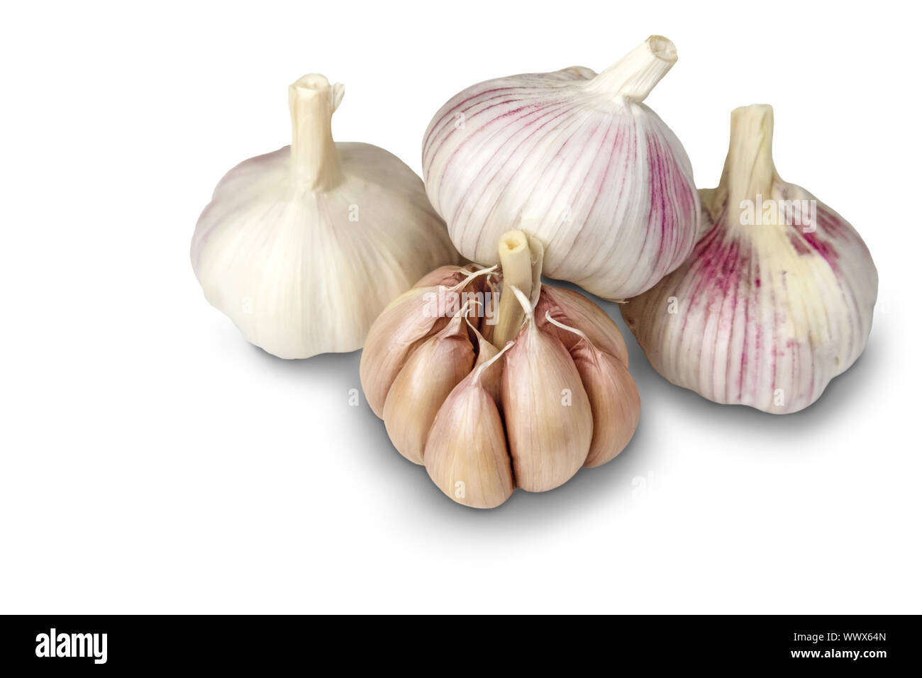 Garlic bulbs on white background Stock Photo - Alamy
