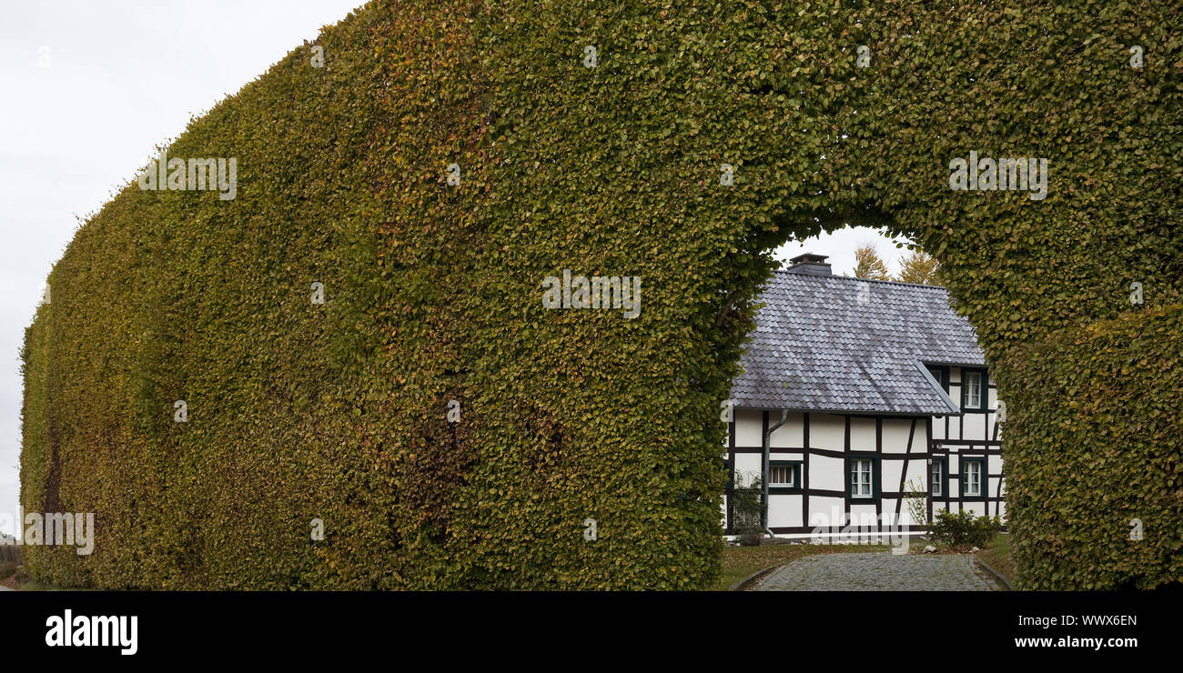 Truss beech hi-res stock photography and images - Alamy