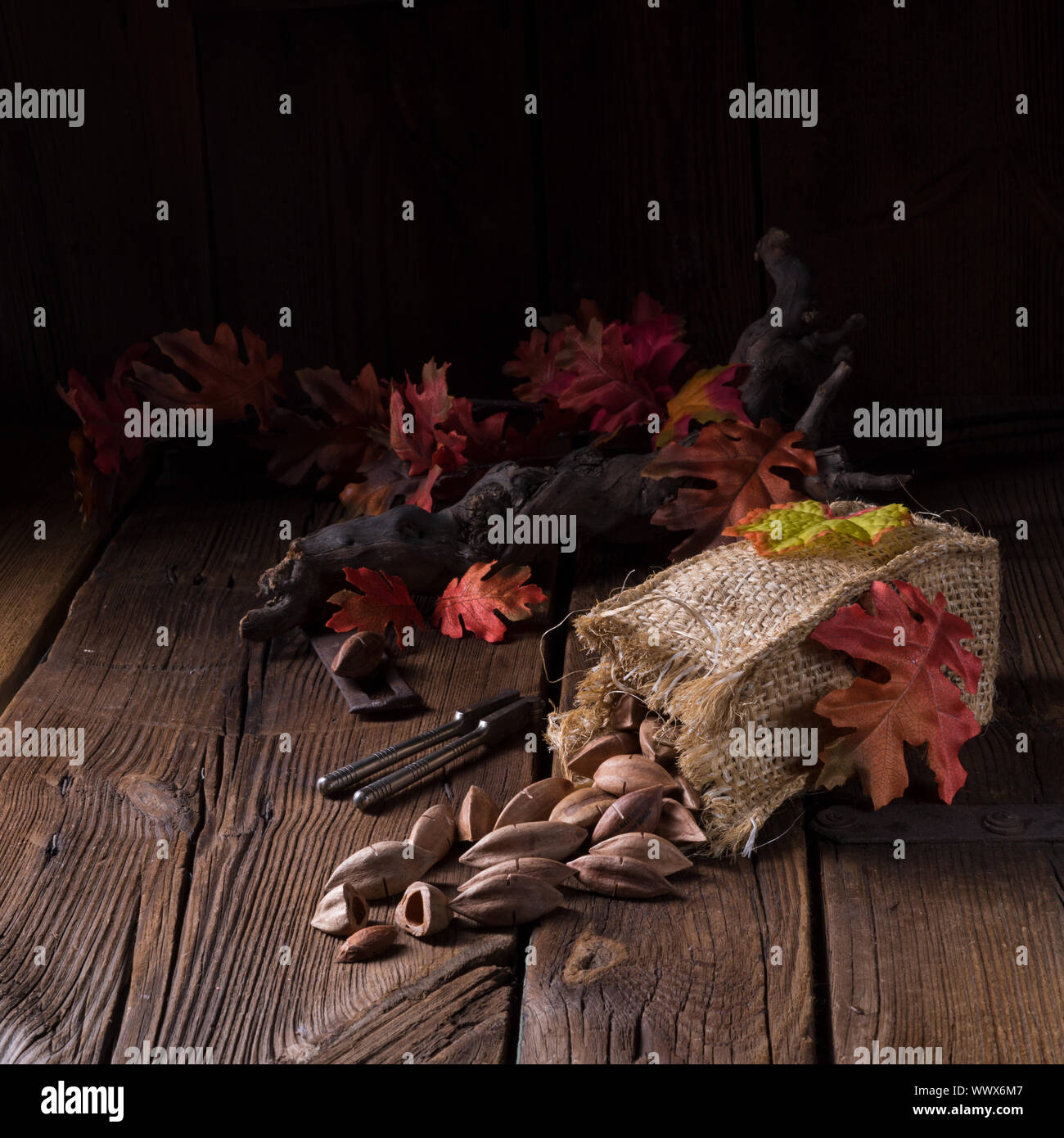 Canarium ovatum, commonly known as pili is a species of tropical tree ...