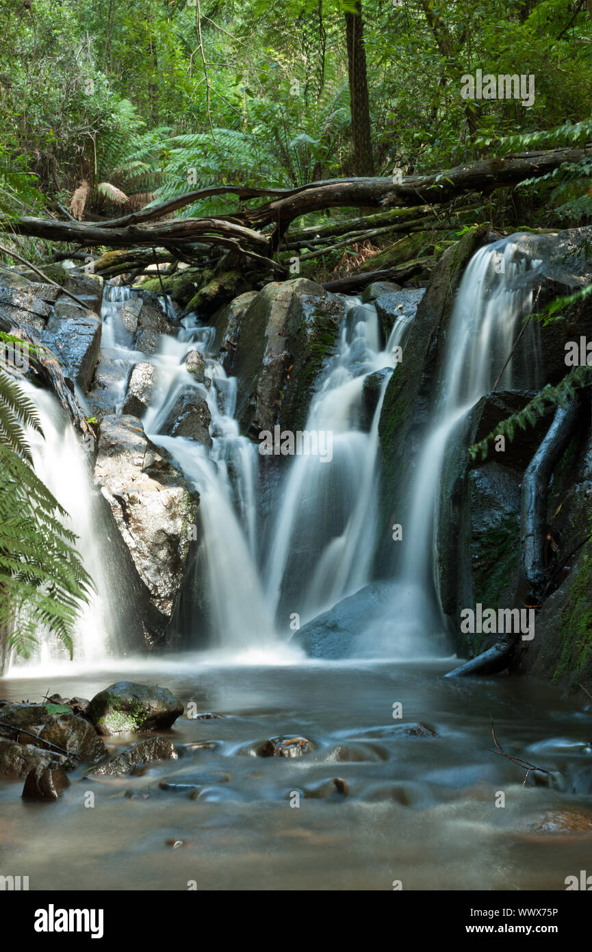 Olinda falls hi-res stock photography and images - Alamy