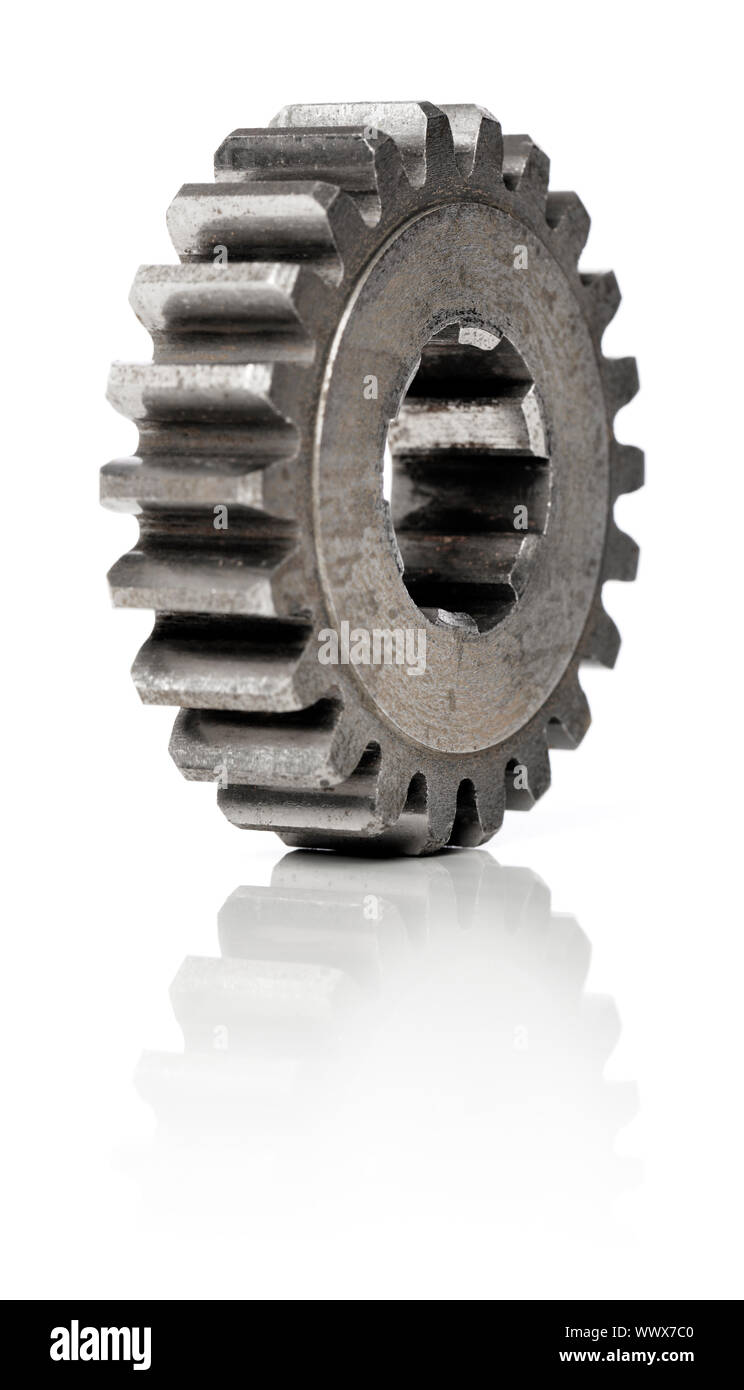Old metallic cog gear wheel on white, with natural reflection. Short ...