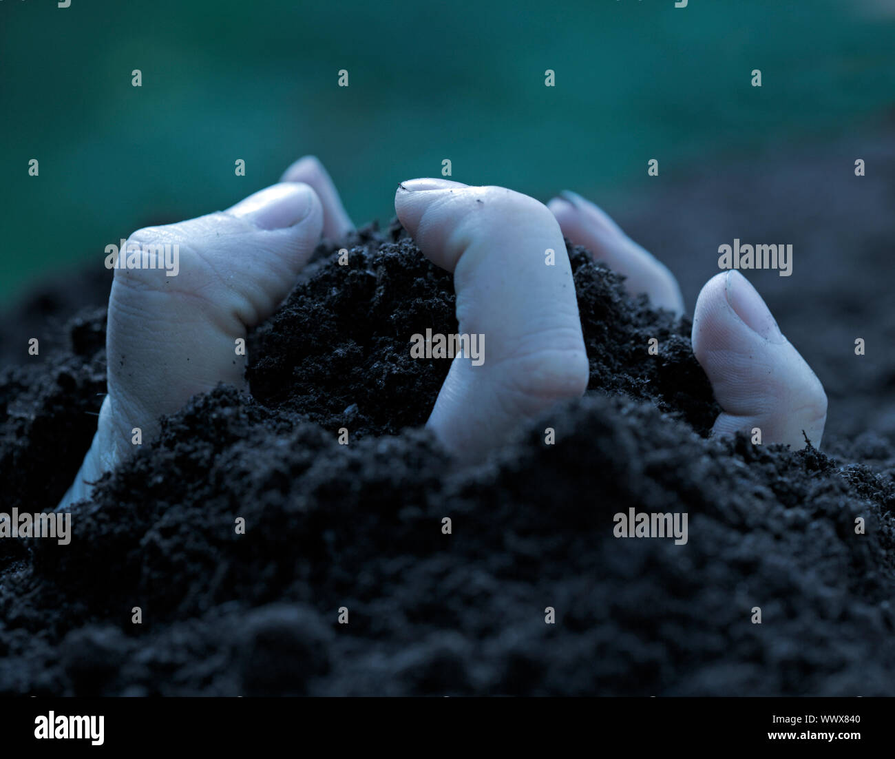 Hand emerging from the ground trough the soil Stock Photo - Alamy