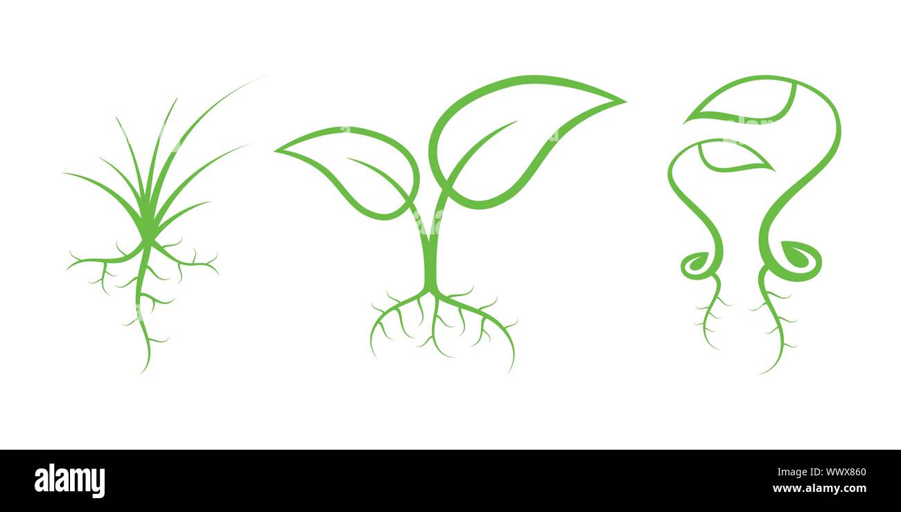 Green Nature Icons. Part 7 - Sprouts Stock Vector Image & Art - Alamy