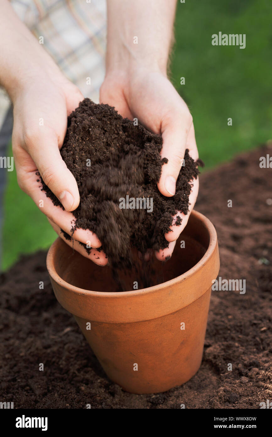 Hands putting soil into a clay flower pot Stock Photo - Alamy